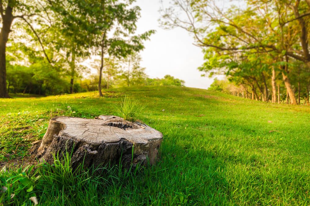 God is Sovereign Over All — Episodes — Groundwork Bible Study