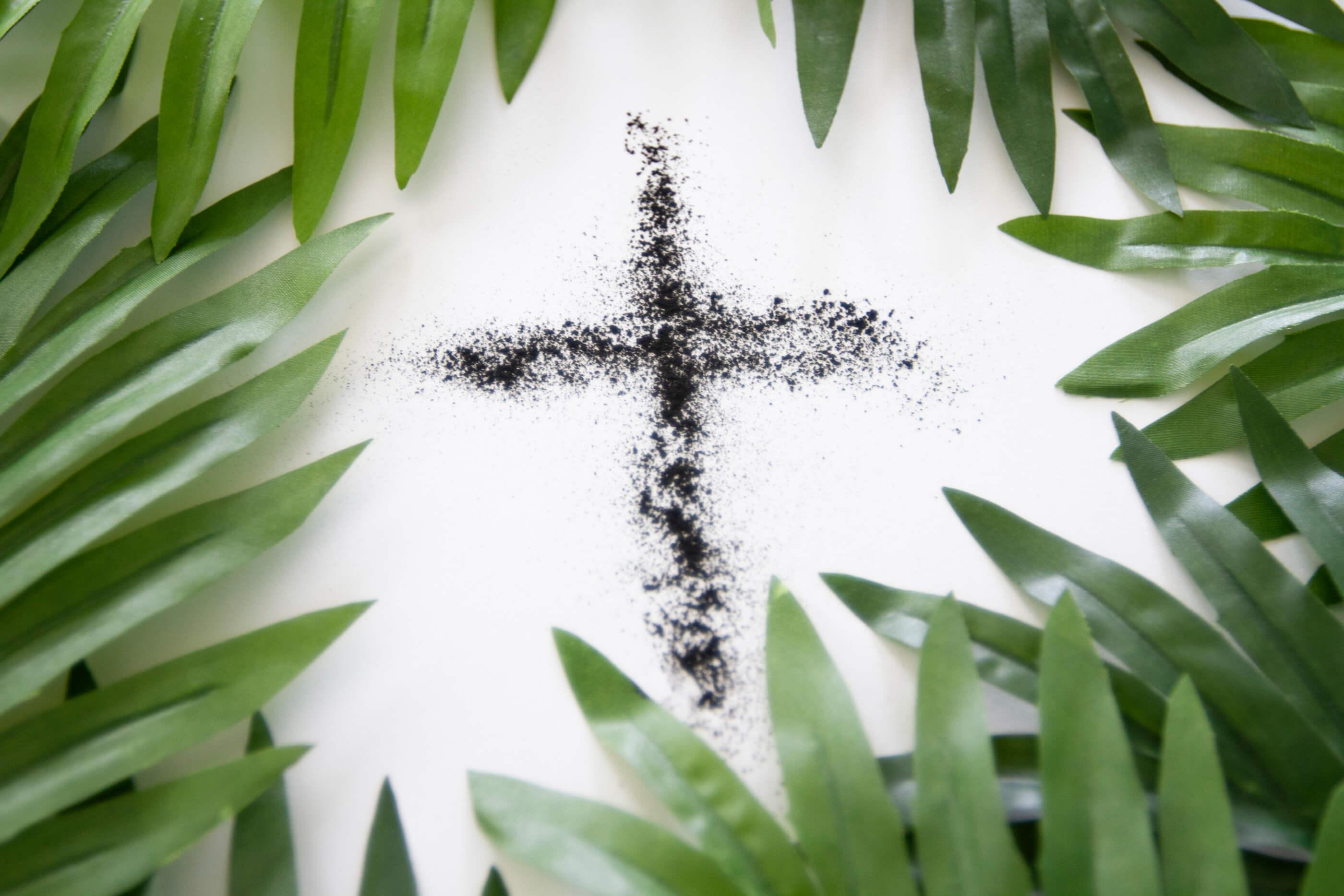 Experiencing Palm Sunday with Jesus — Episodes — Groundwork Bible Study