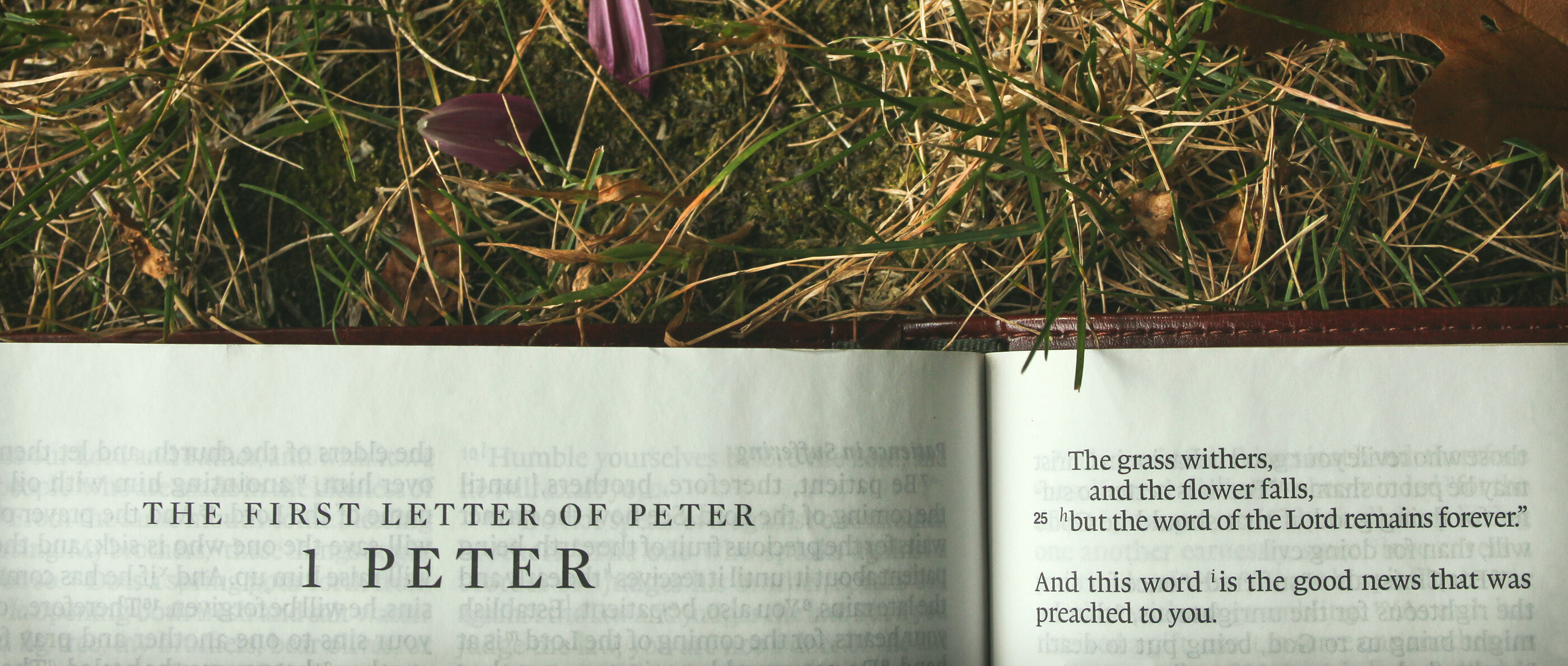 1 Peter: Christian Identity and Keeping Faith While Suffering — Series ...