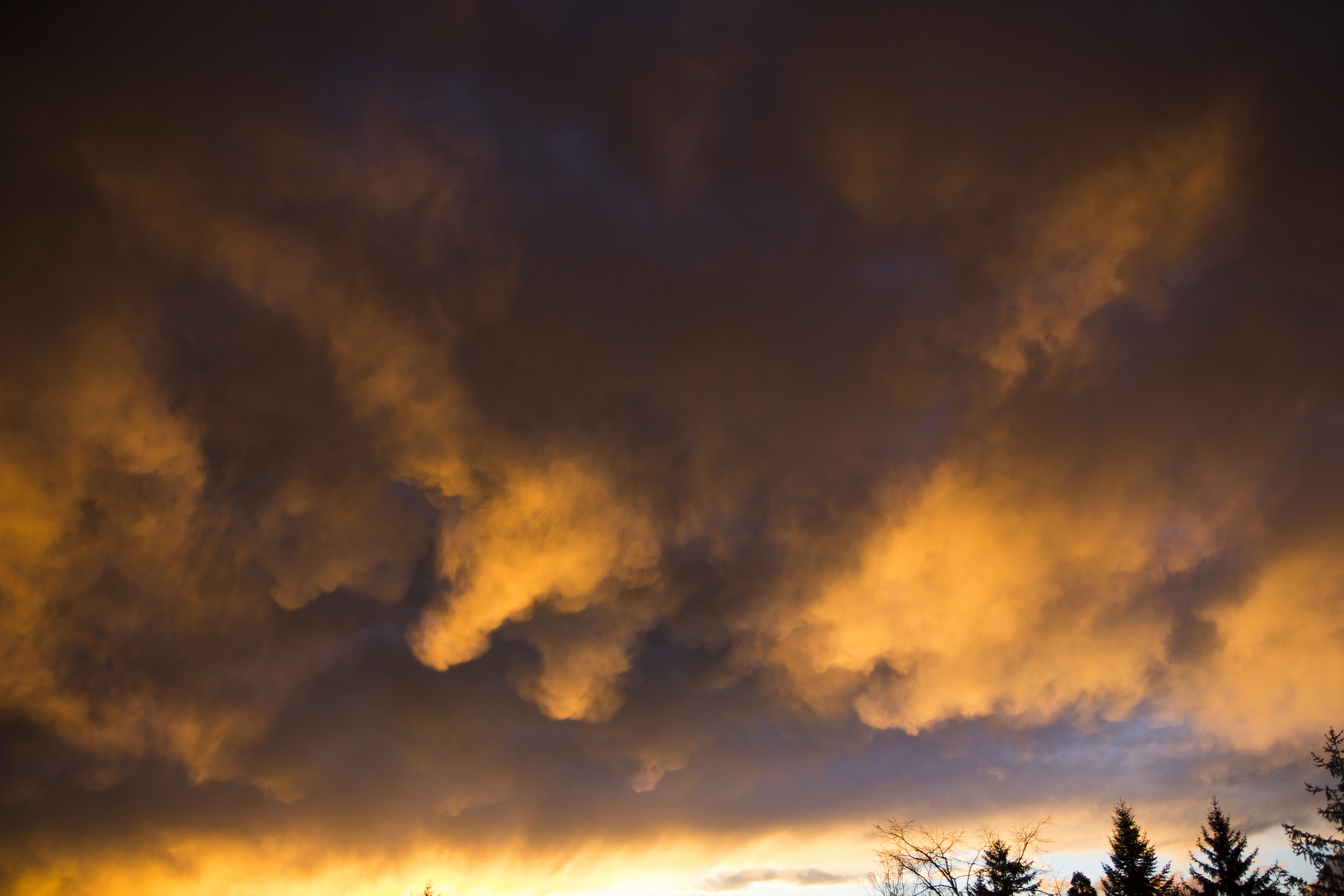 Stay Alert, Watch, and Be Ready — Episodes — Groundwork Bible Study