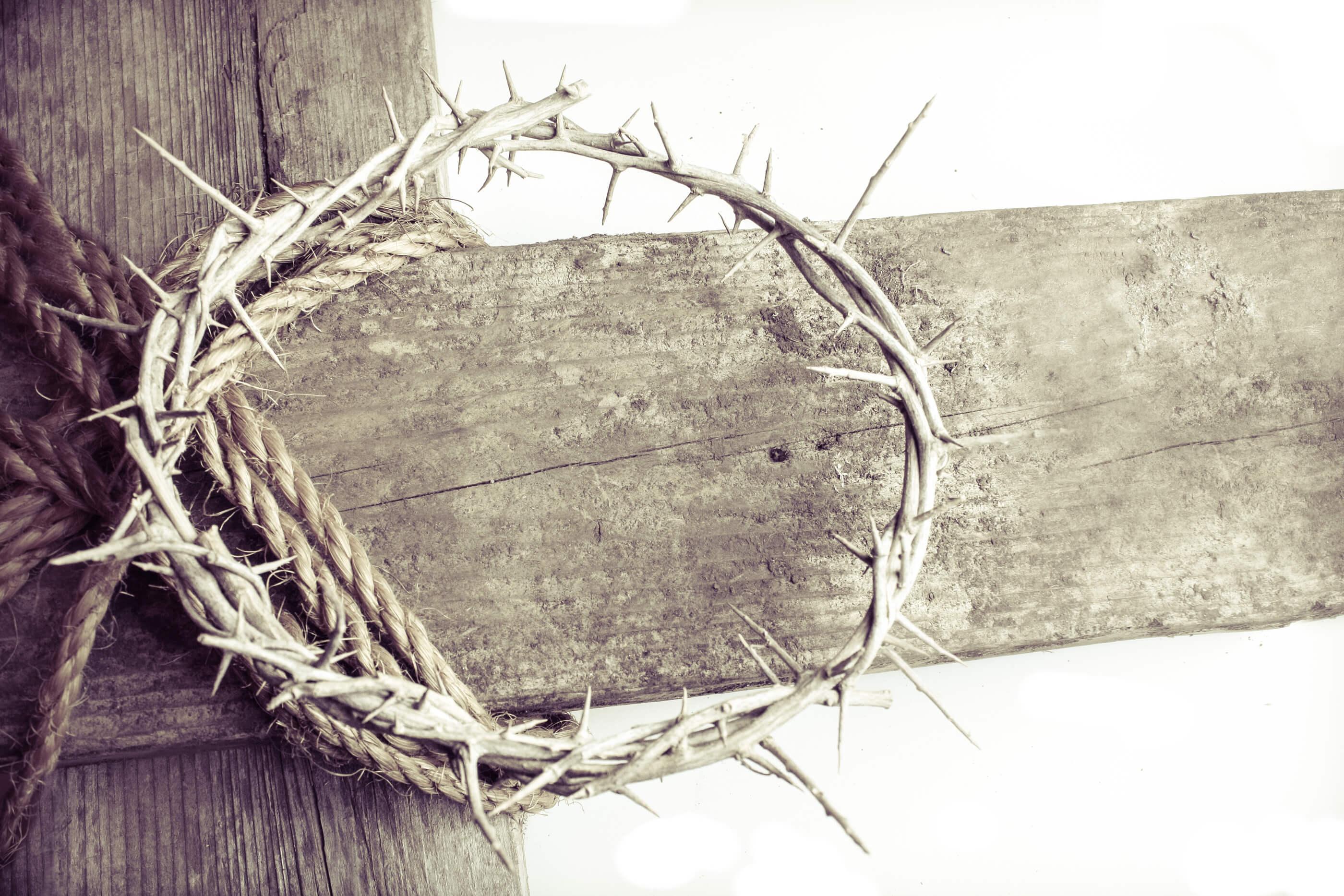 The Shame of the Cross — Groundwork Bible Study