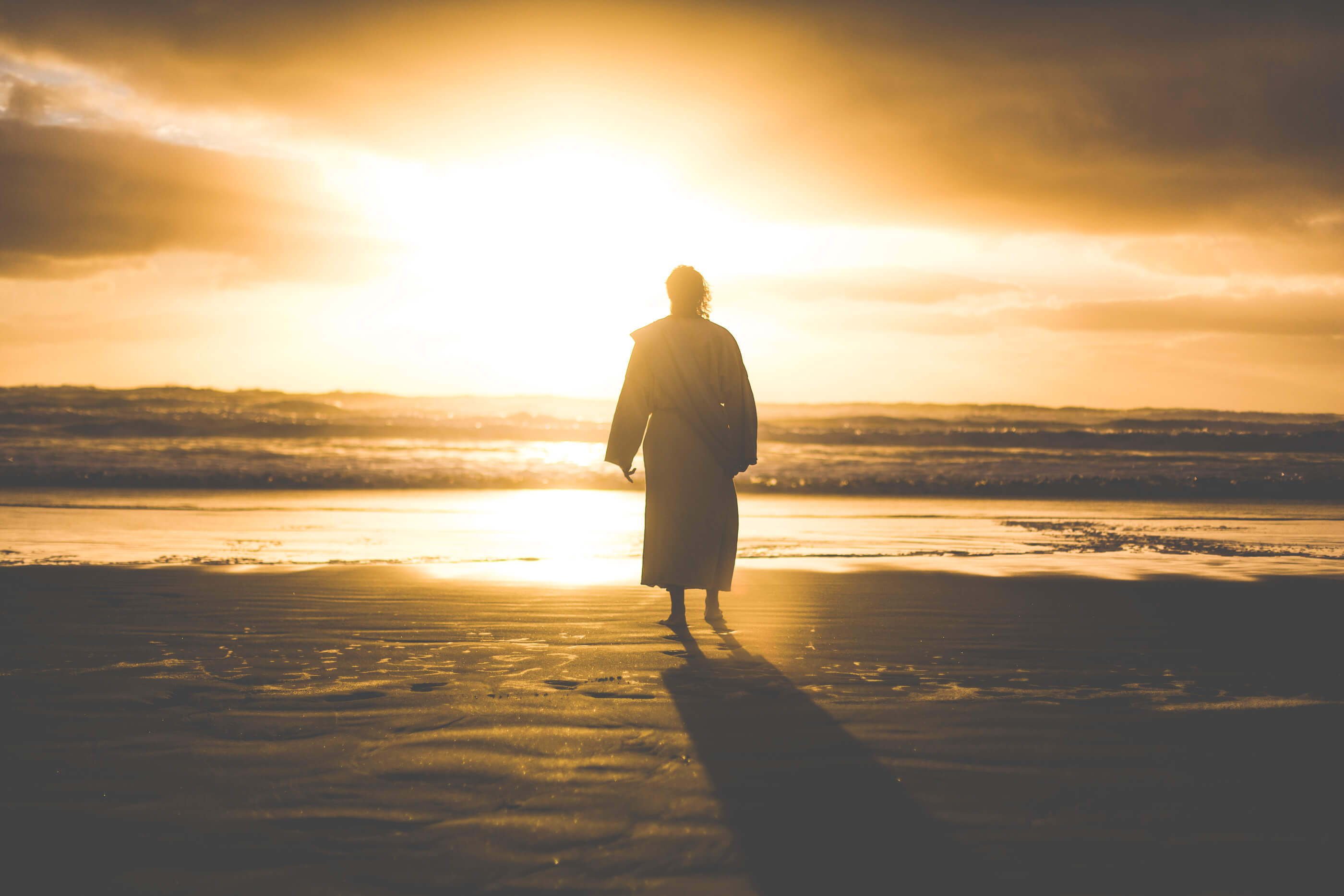 Jesus: Misunderstood and Rejected — Groundwork Bible Study