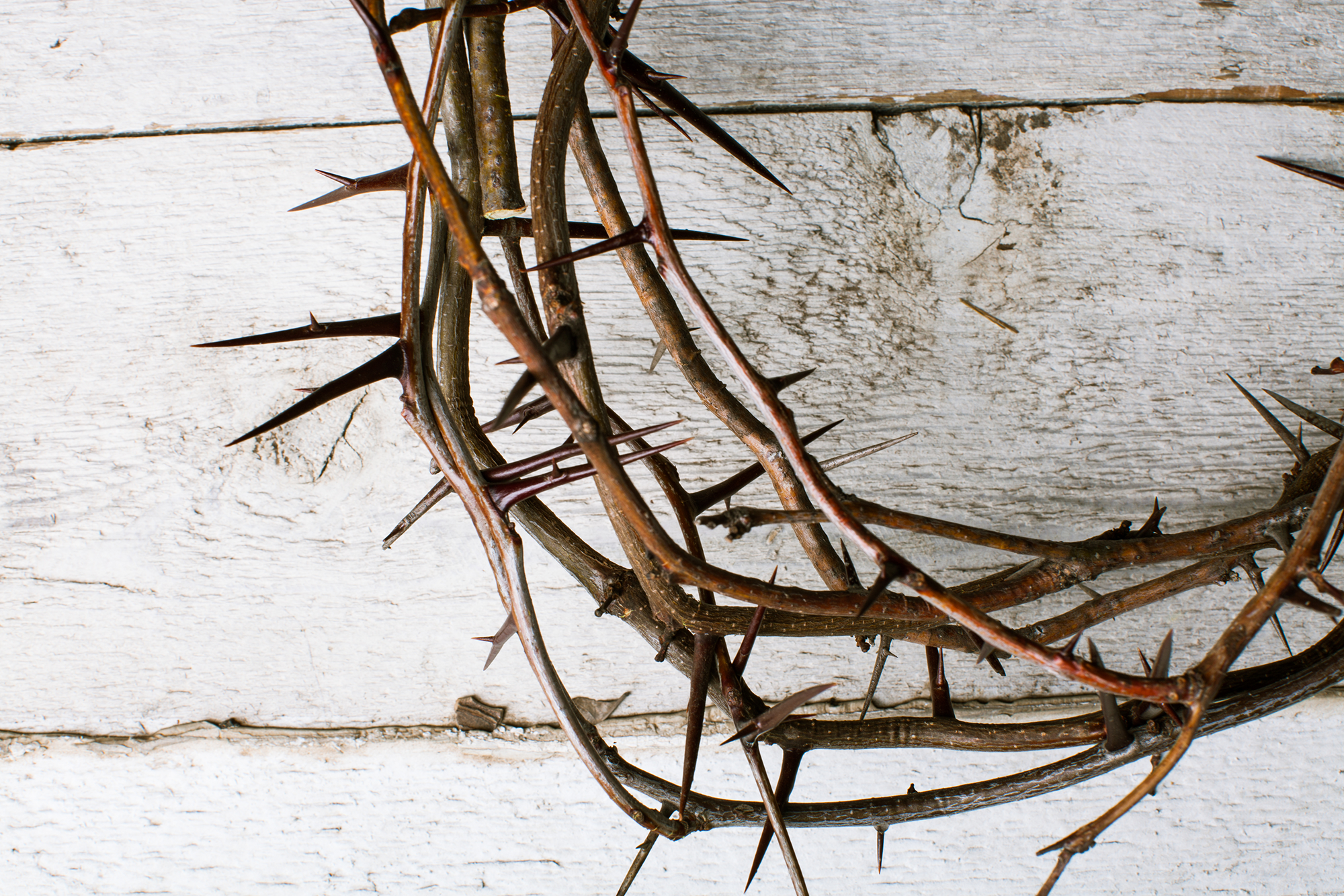 Job and the Problem of Suffering — Blog — Groundwork Bible Study